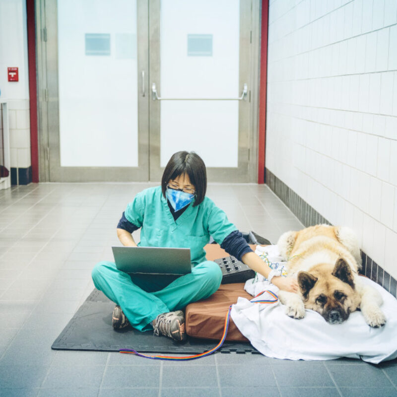 Code of Academic Integrity - Office of the Dean of Faculty